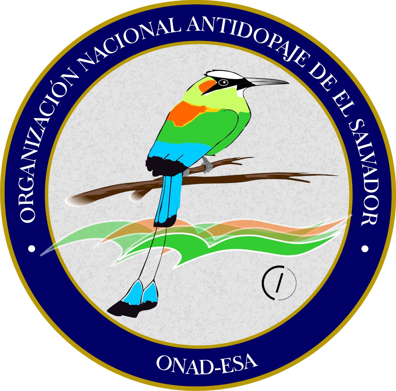 Directorio – ORAD-PAN